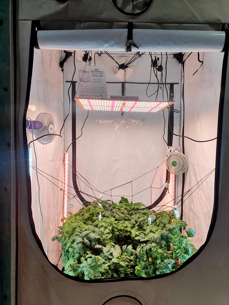 Lighthouse Hydroponics | Sunshine Coast Hydro Shop Coolum Beach